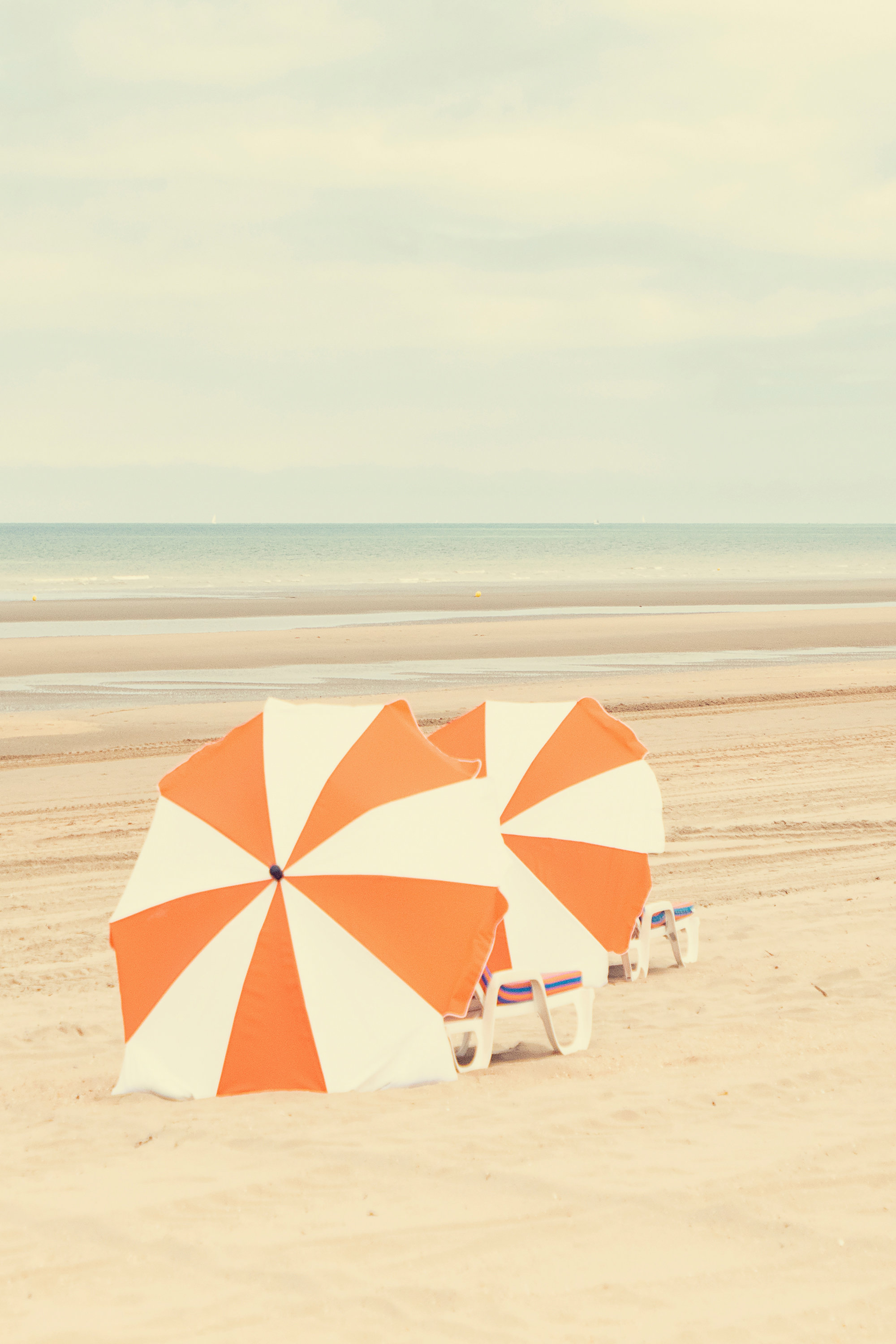 Highland Dunes Della Latta - Umbrella - Wayfair Canada