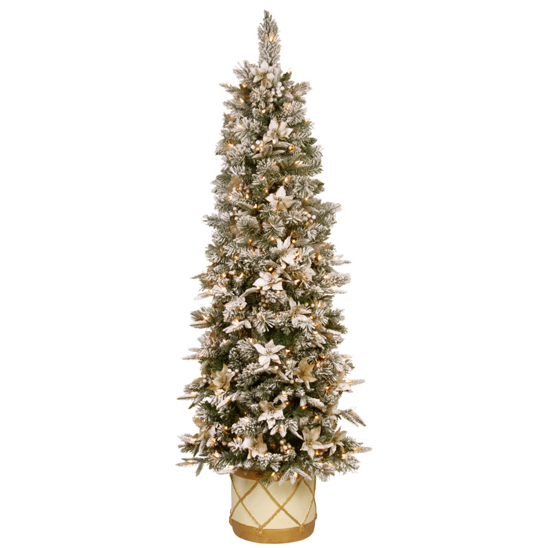 The Holiday Aisle® 6 ft. Frosted Colonial Slim Half Tree with Clear ...