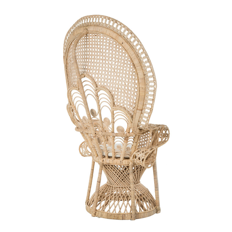 Highland Dunes Mcevoy Rattan Wingback Chair & Reviews | Wayfair