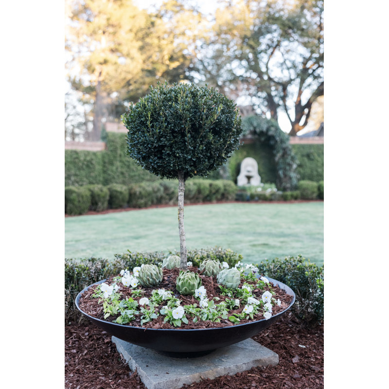 Red Barrel Studio® Wilmarie 42" Natural Rust Pantina Round Planter ...