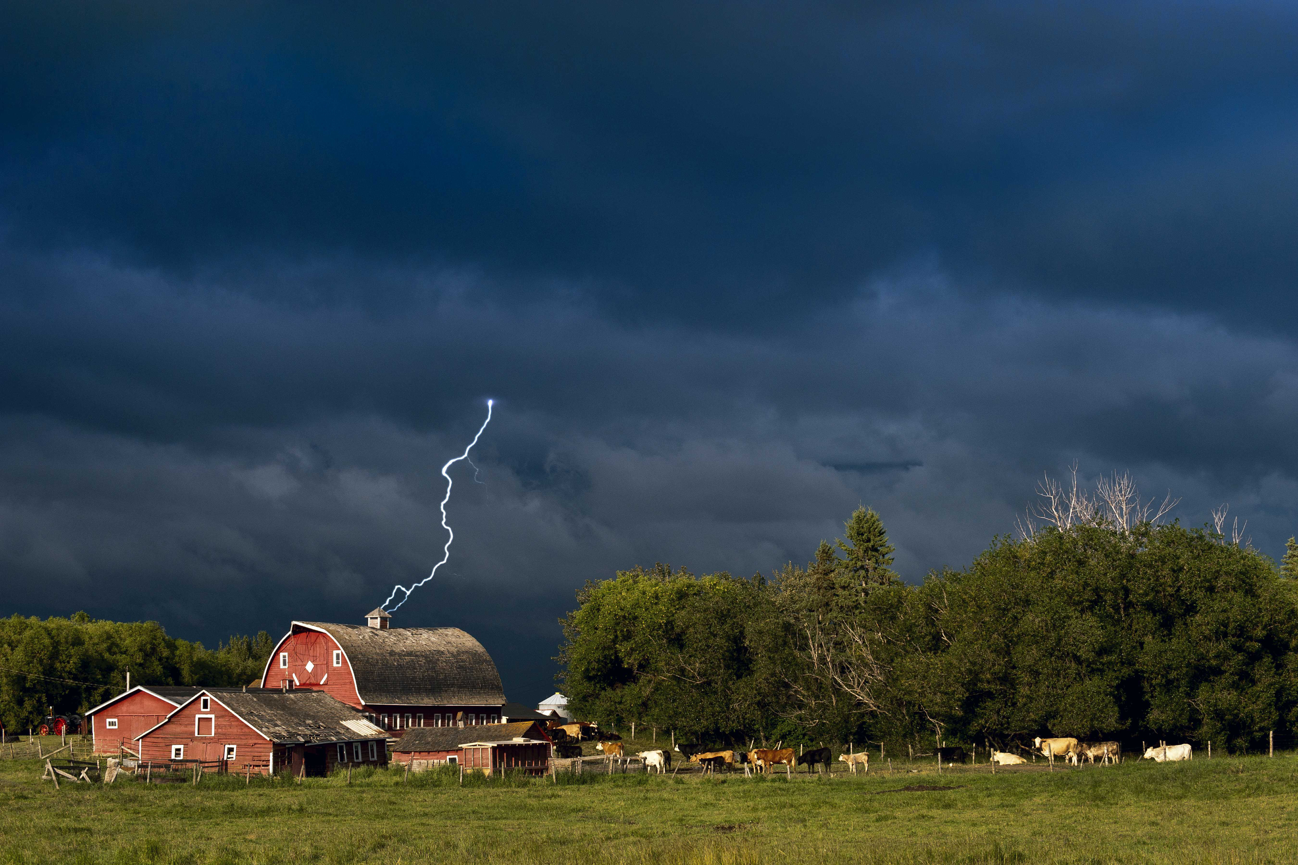 Ebern Designs Red Barn Lightning by - Wrapped Canvas Photograph ...