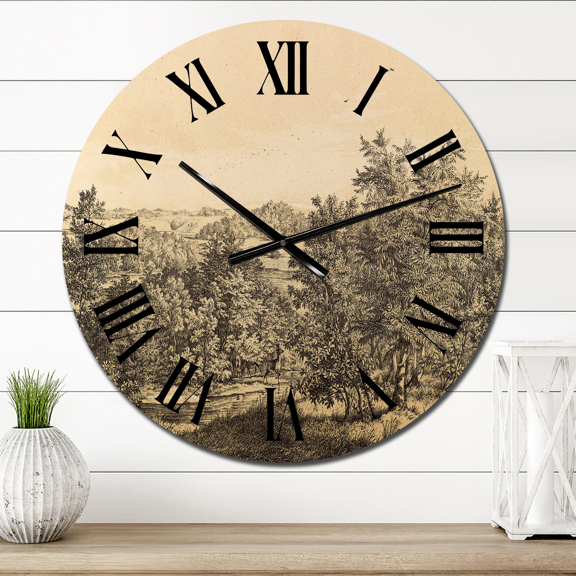 East Urban Home Nature Of South America Old Image Xii - Traditional ...