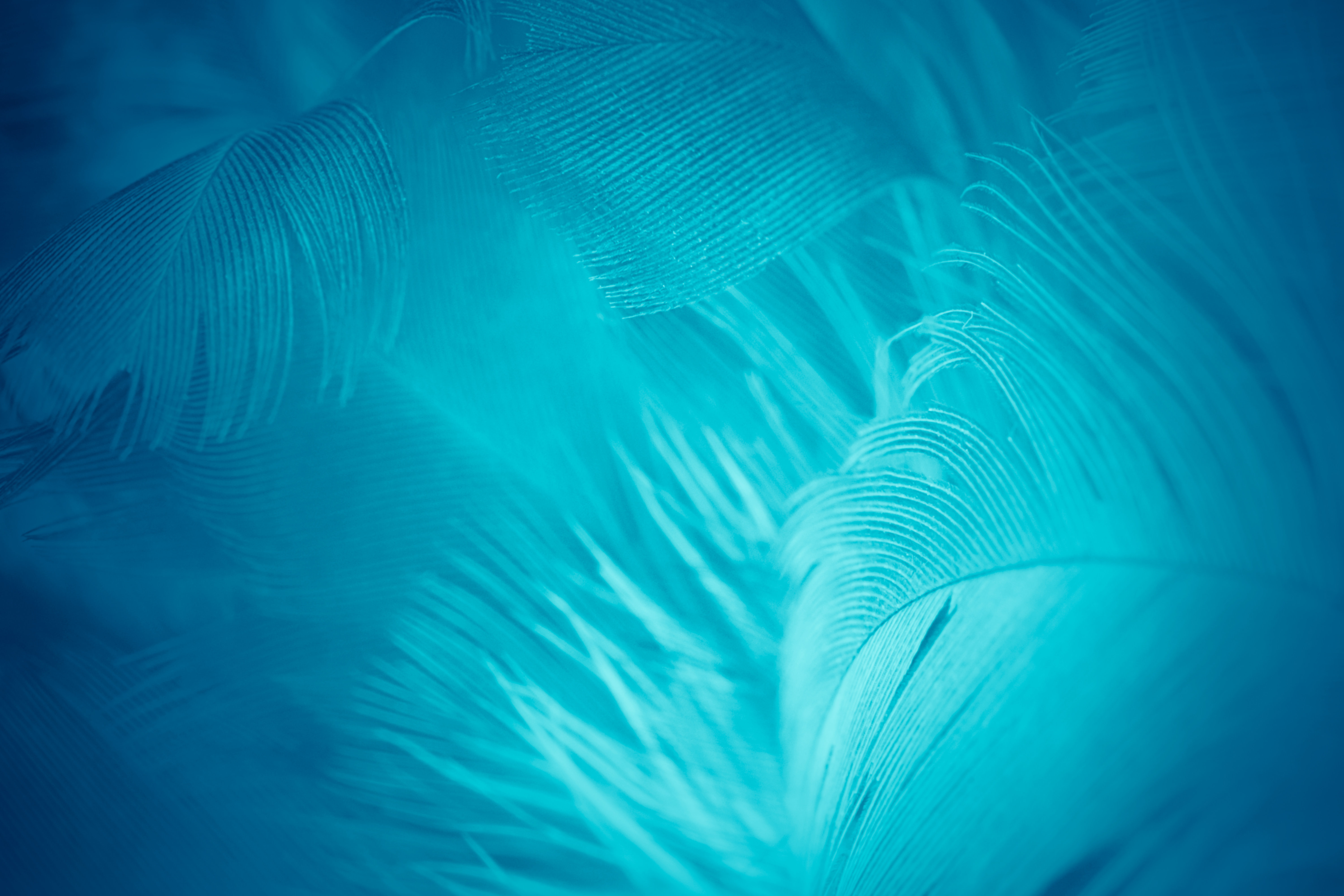 Wrought Studio™ Frederigo Feather Texture by Nadtytok | Wayfair