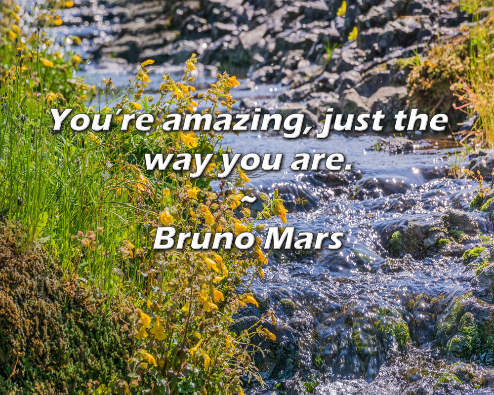 Ophelia & Co. Artsy Quote "You’re amazing, just the way you are." By ...