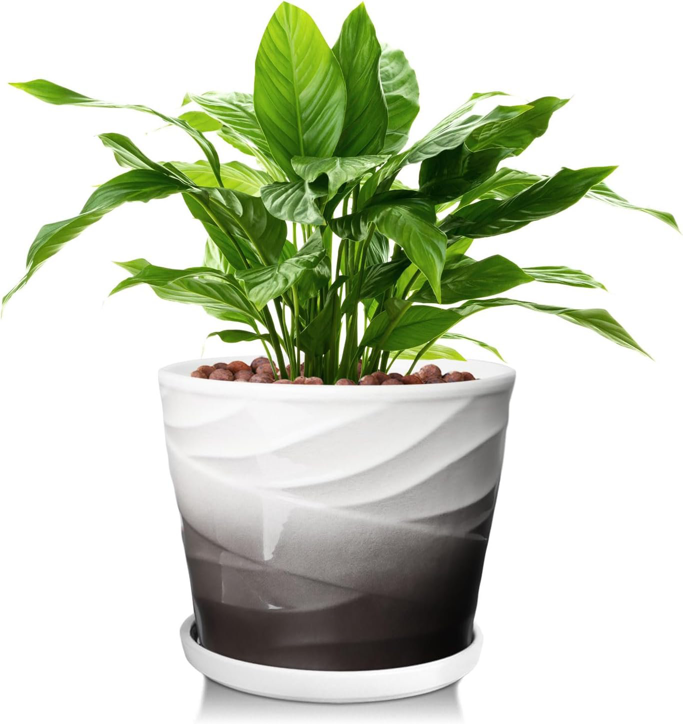 Latitude Run® 8" Ceramic Plant Pot With Drainage And Saucer | Wayfair