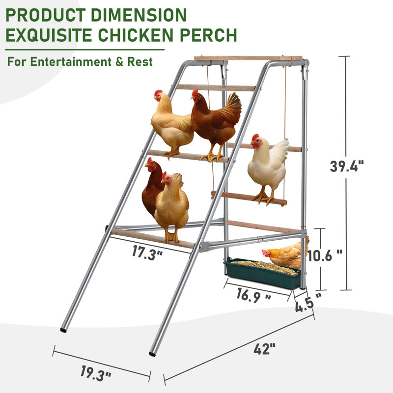 Tucker Murphy Pet™ Chicken Perch Ladder For Coops With Swing & Reviews ...