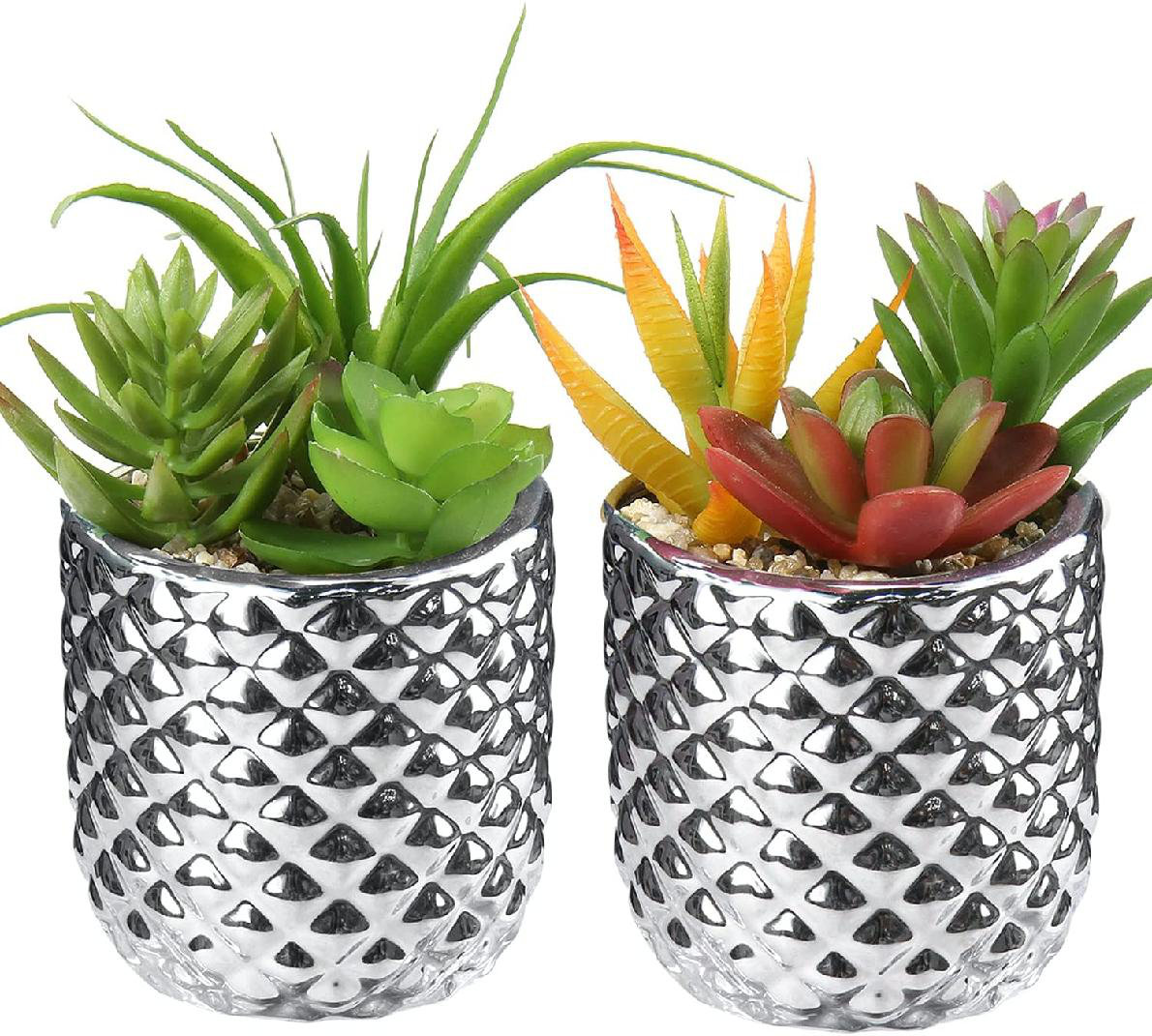 Spectrum 2 Piece Ceramic Pot Planter Set | Wayfair