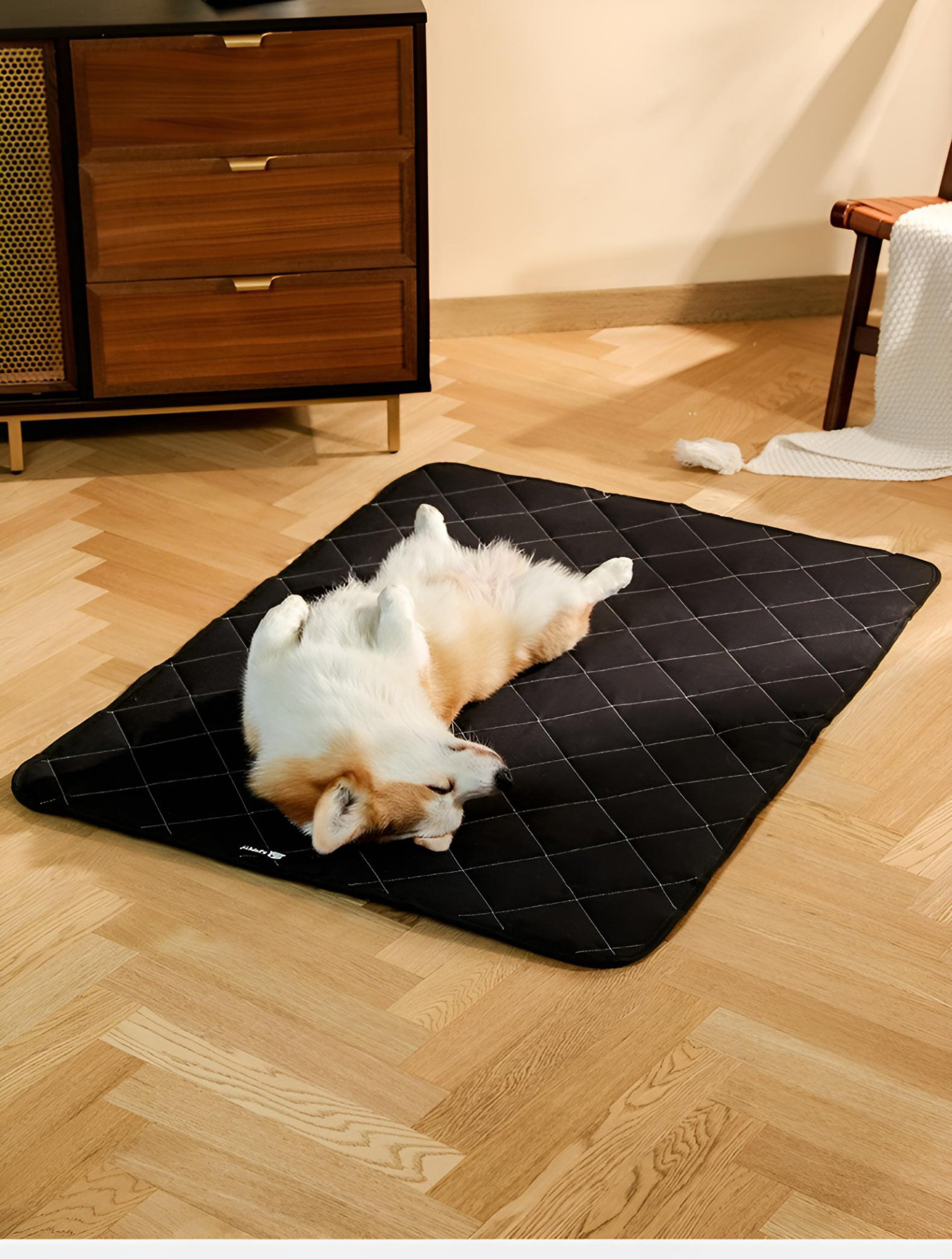 Archie & Oscar™ Four Season Universal Waterproof And Urine Proof Pet ...