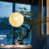 Dakota Fields 1-Light Globe Pendant Light | Wayfair