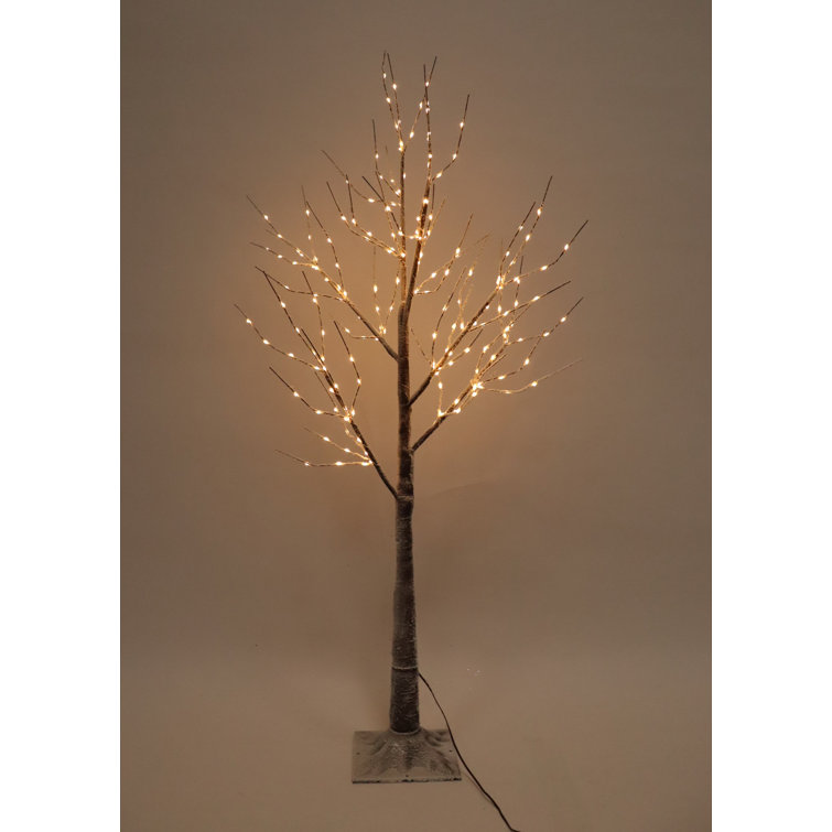 The Seasonal Aisle LED Indoor / Outdoor Lighted Trees & Branches ...