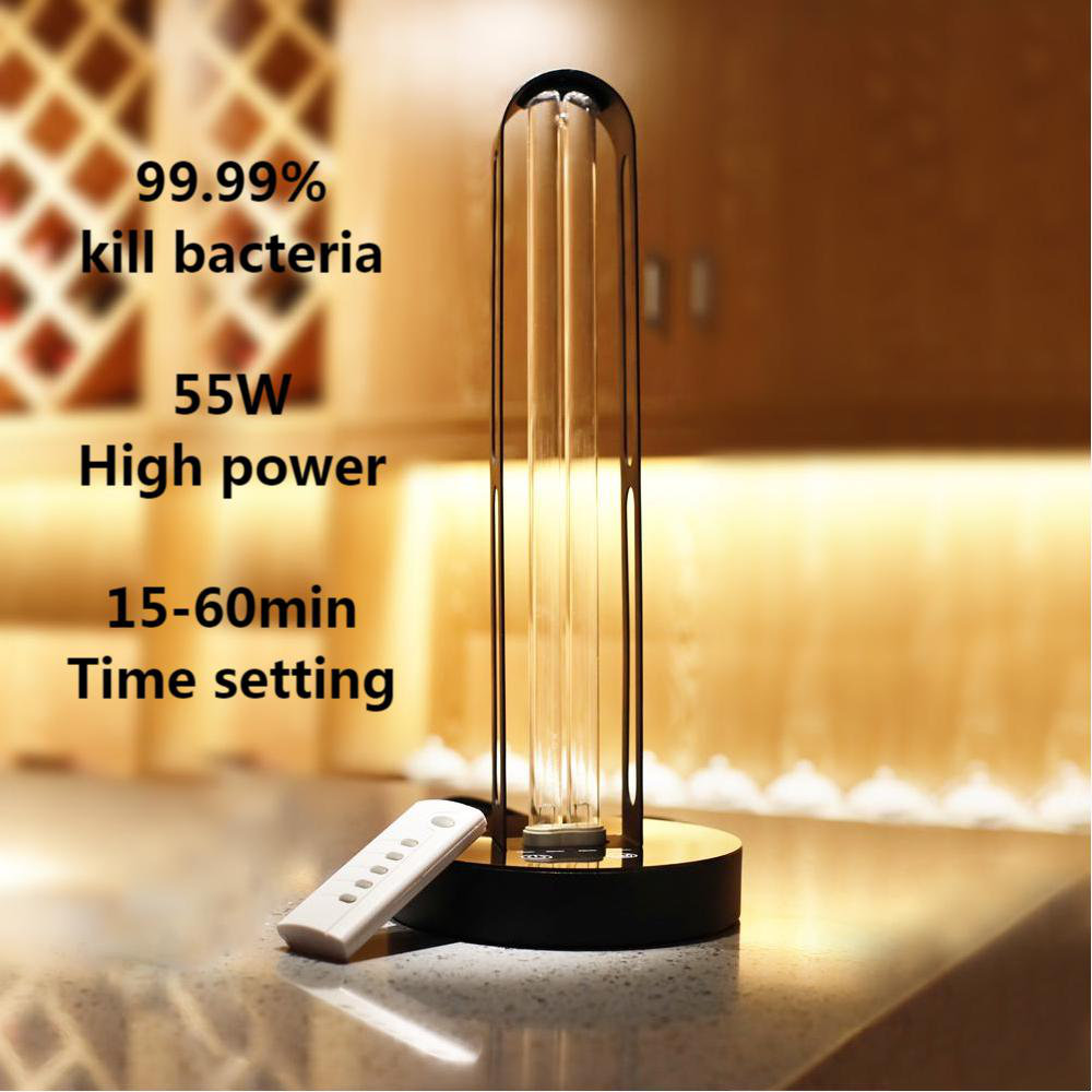 Fine Art Lighting UV Disinfection Light with Remote Control and Motion ...