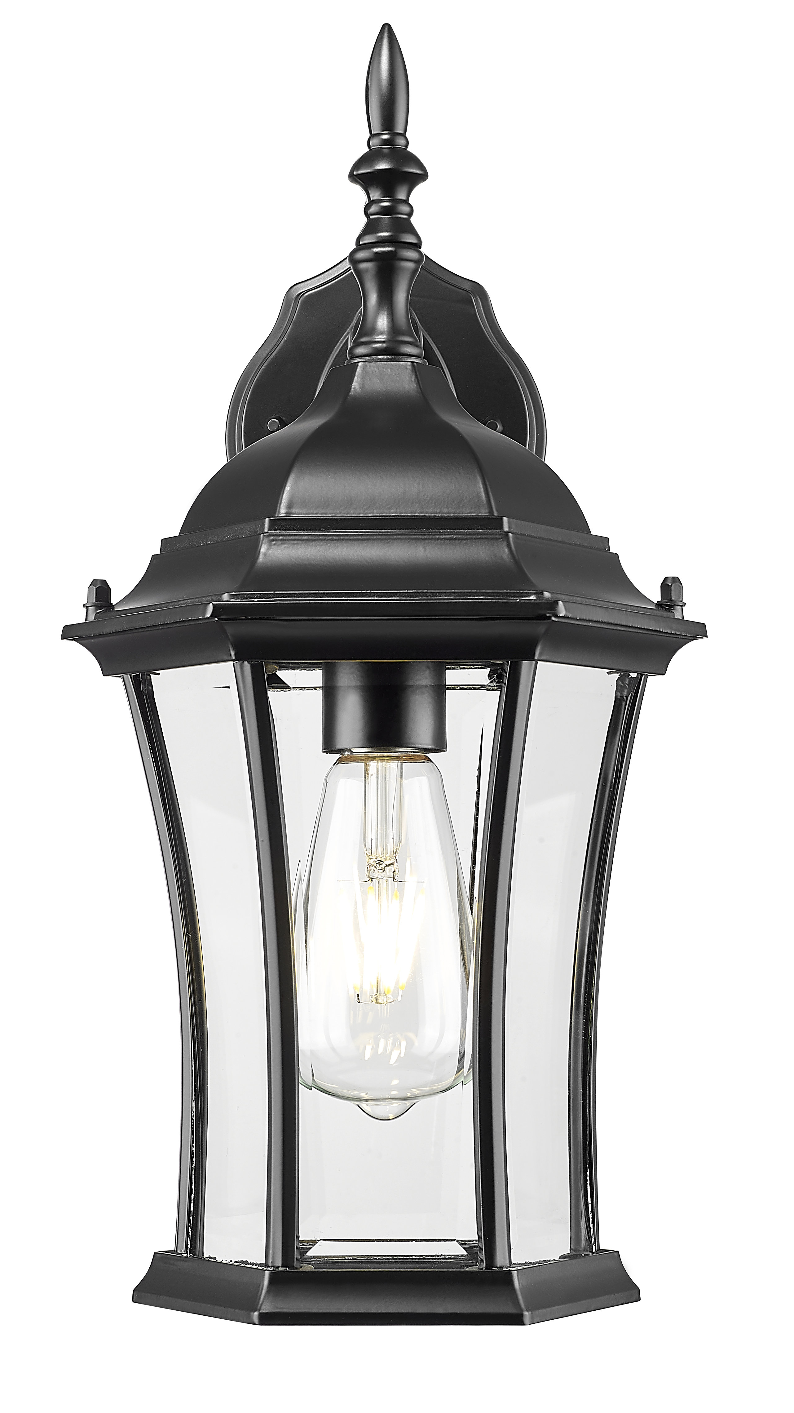 Alcott Hill® Francesca Lane 15.5" H Outdoor Wall Lantern & Reviews ...