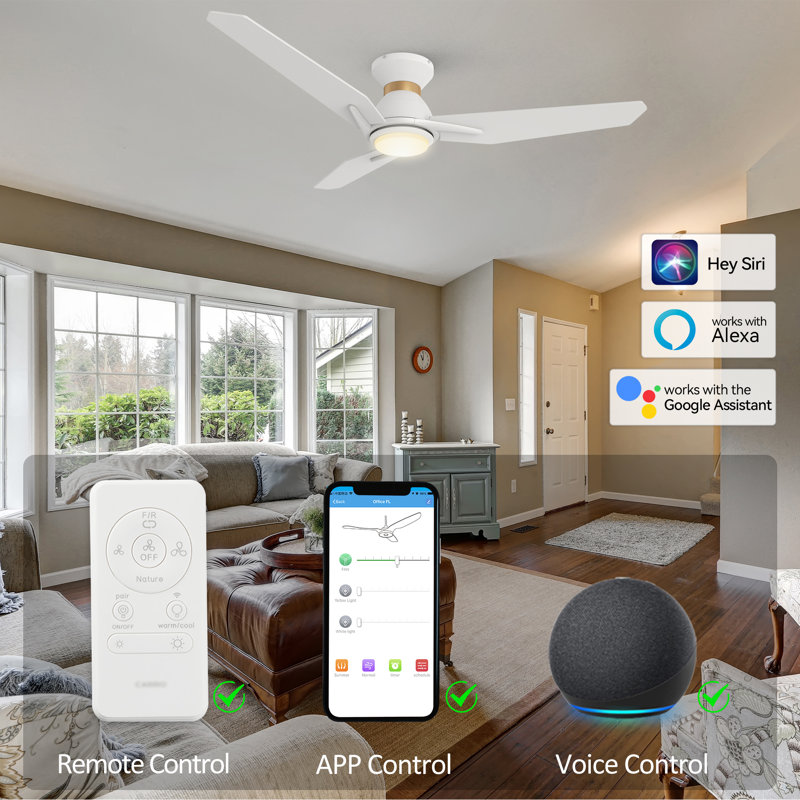 Ivy Bronx Gaudenzia 52 Inch Smart Ceiling Fan with Light | Wayfair