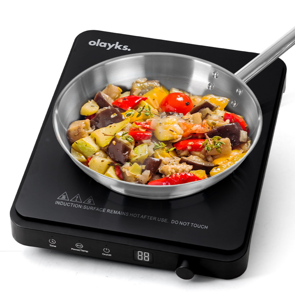 Vandia Portable Induction Cooktop – Multifunctional Electromagnetic ...
