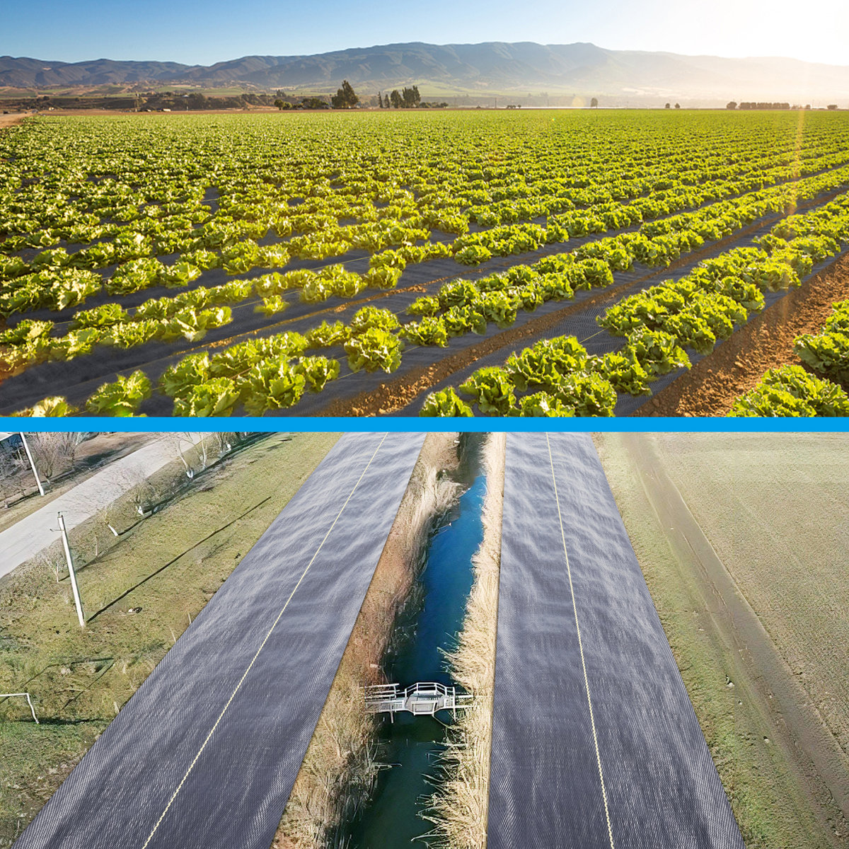 Artpuch Premium Weed Barrier Landscape Fabric Heavy Duty , Woven Weed ...