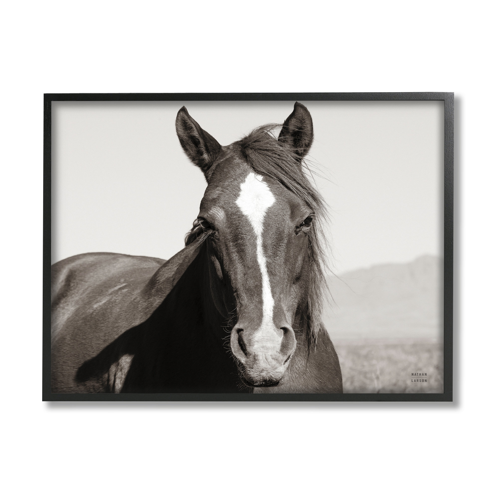 Stupell Industries Windblown Stallion Portrait Canvas Wall Art Design ...