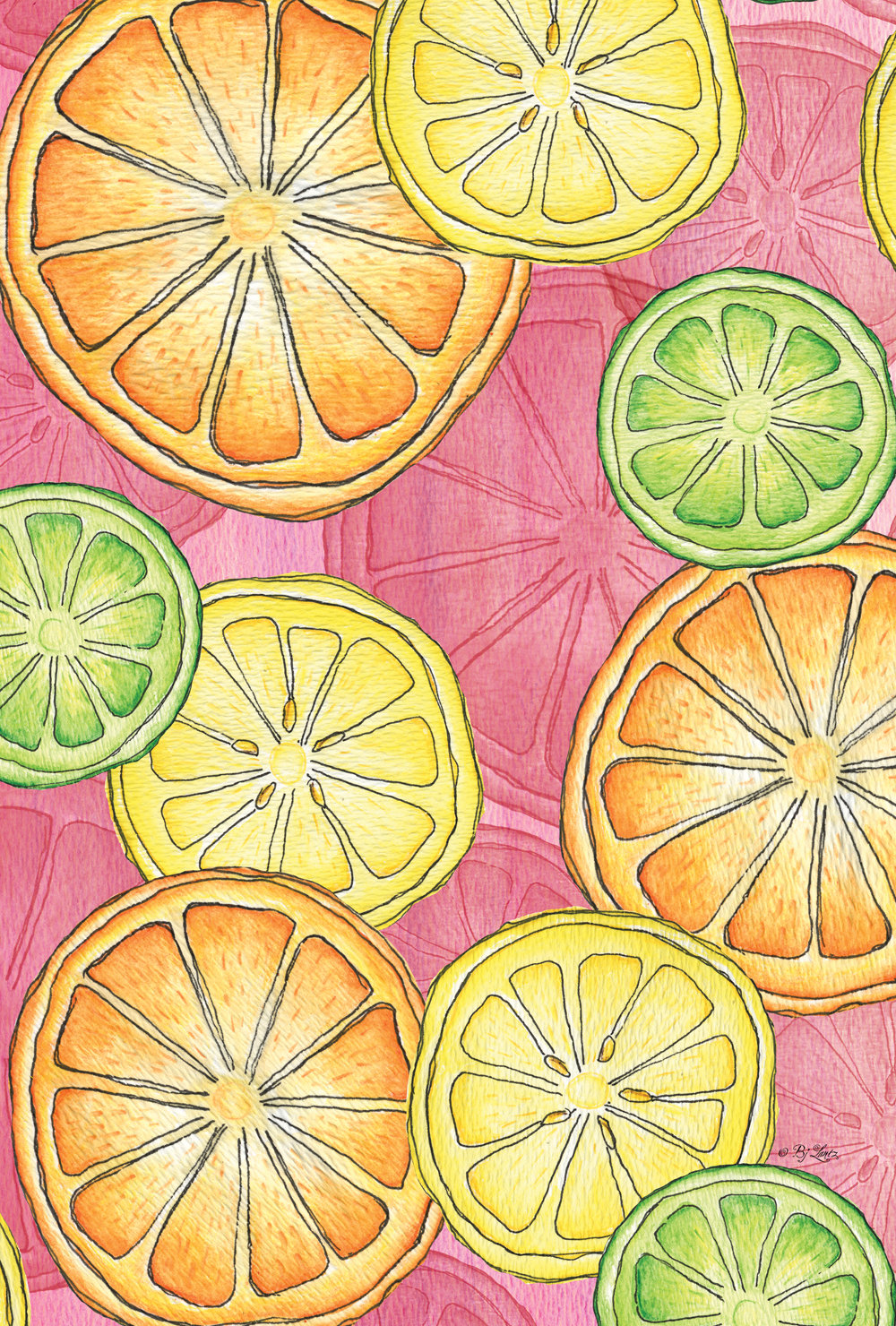Toland Home Garden Citrus Toss 28 x 40 inch House Flag | Wayfair