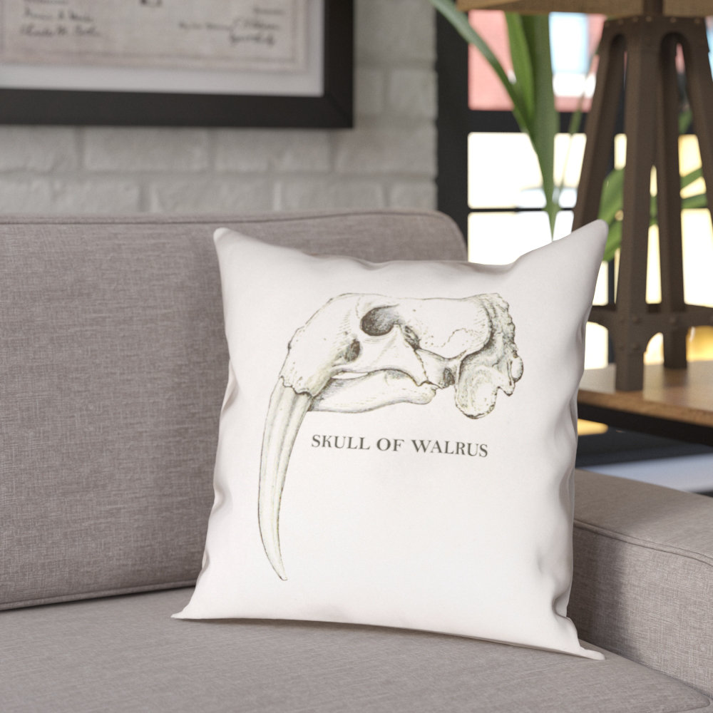 ArtVerse Katelyn Smith Walrus Skull Indoor/Outdoor Throw Pillow ...
