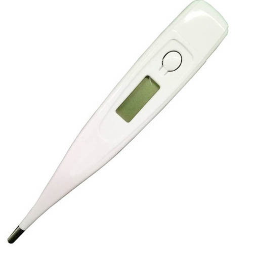 Deluxe Comfort Electronic Digital Thermometer | Wayfair