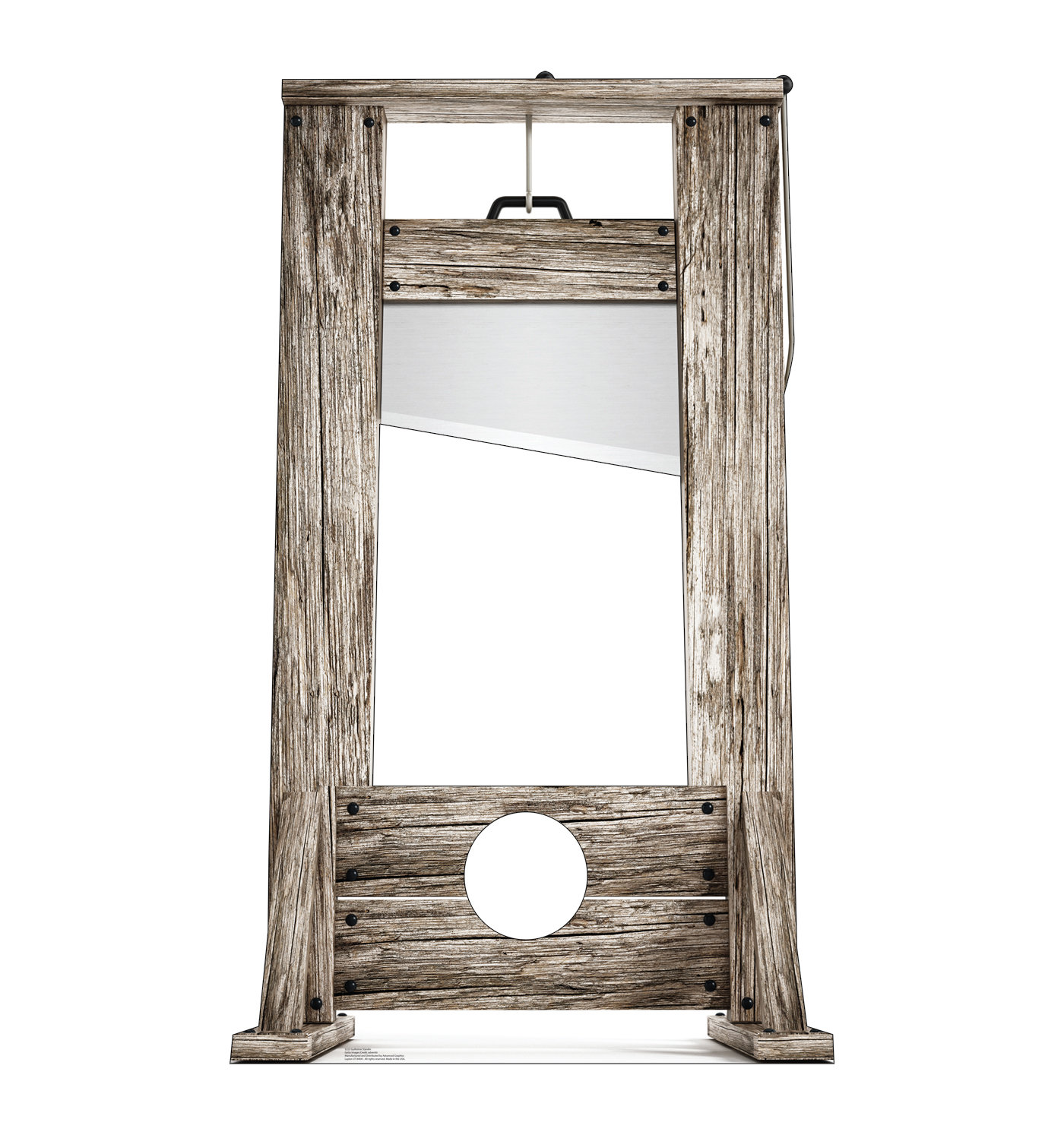 Advanced Graphics Cardboard Standup - Wayfair Canada