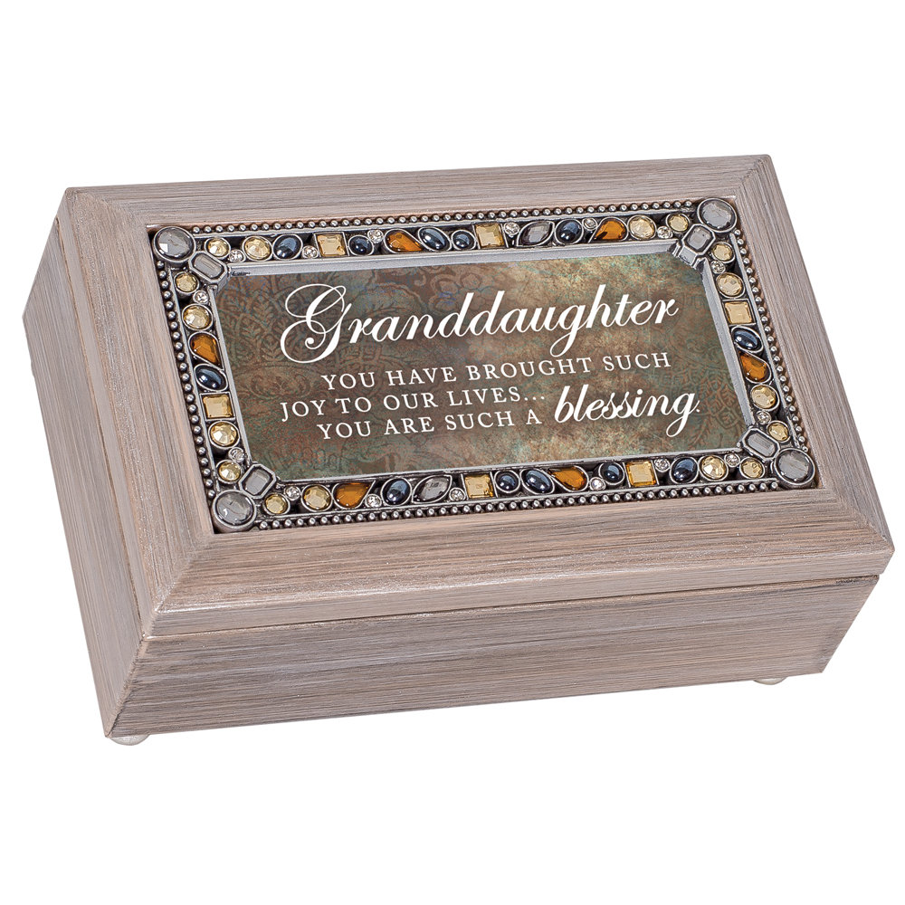 Trinx Ahmare Plastic Memory Box | Wayfair