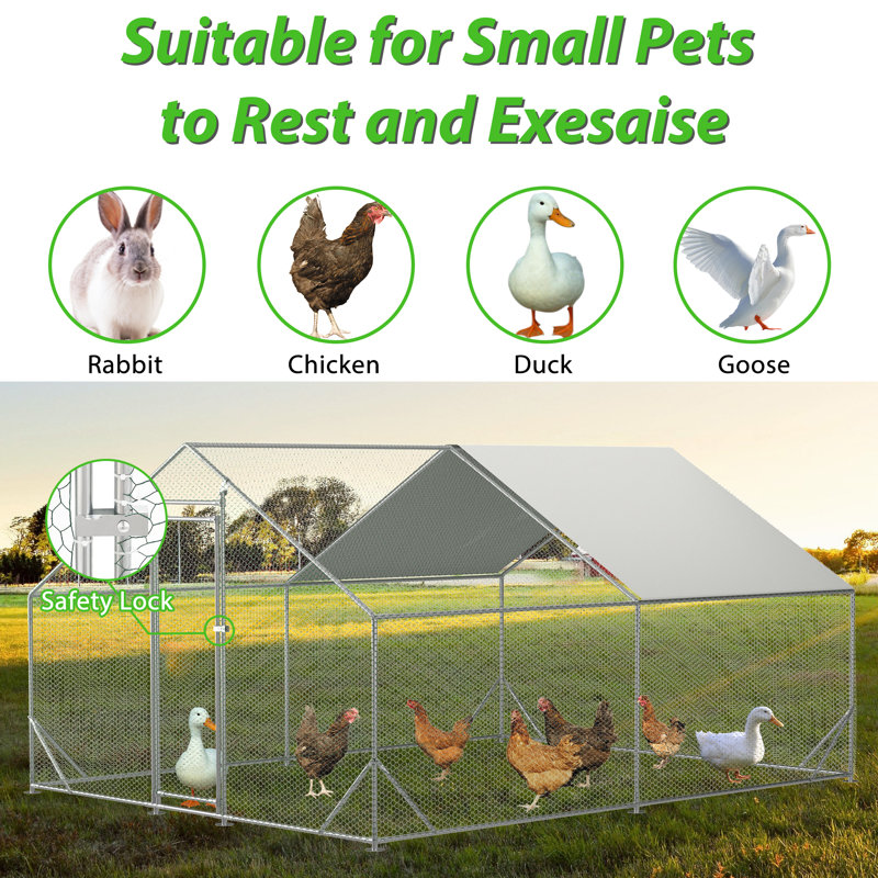 Tucker Murphy Pet™ Ceilidh Metal Chicken Run Coop, Walk-in Poultry Cage ...