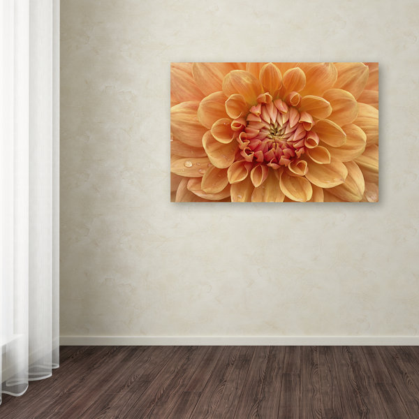Wade Logan® Orange Dahlia On Canvas by Cora Niele Photograph & Reviews ...