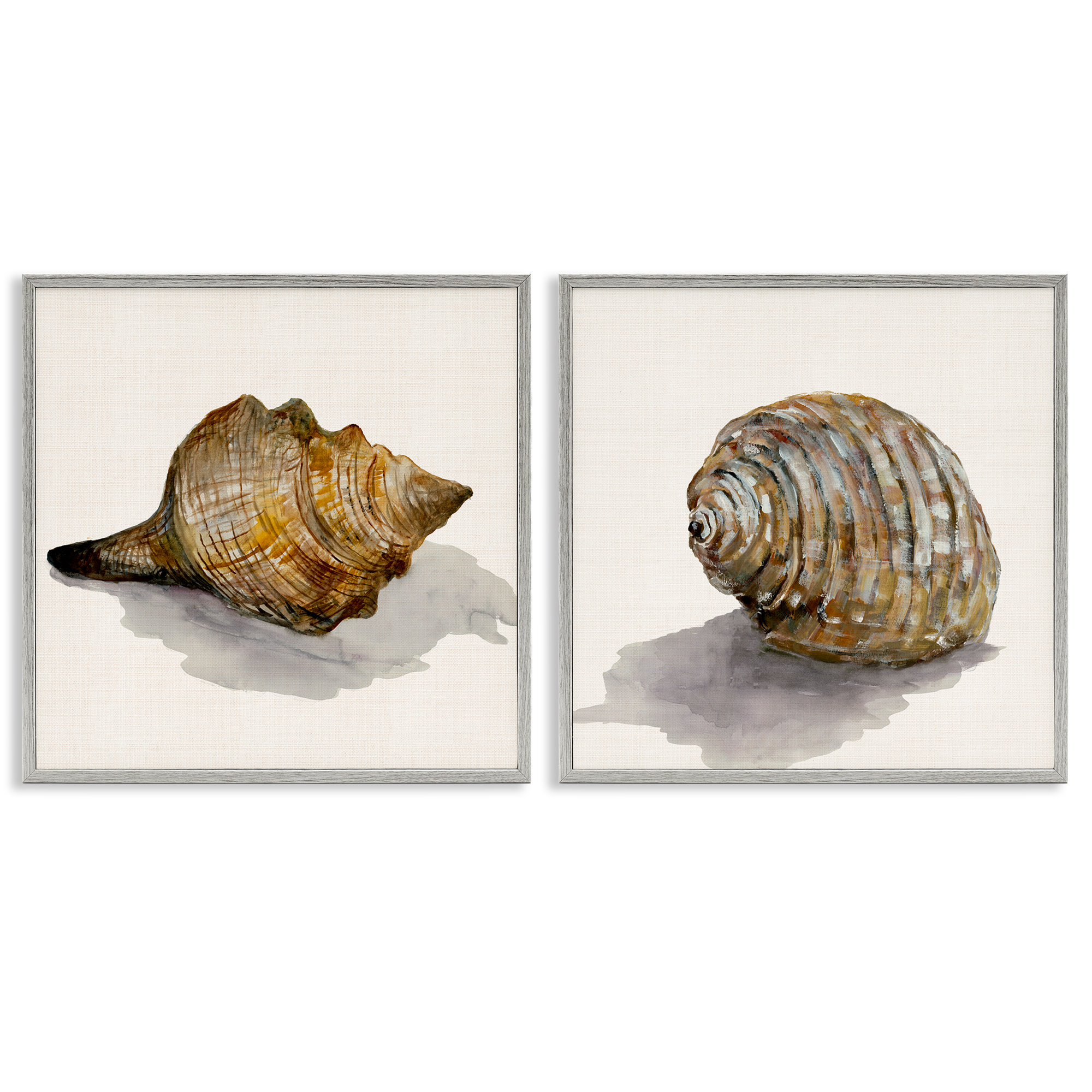Dovecove Neutral Beach Shells 2 PC Giclee Art Set by Jacob Q | Wayfair
