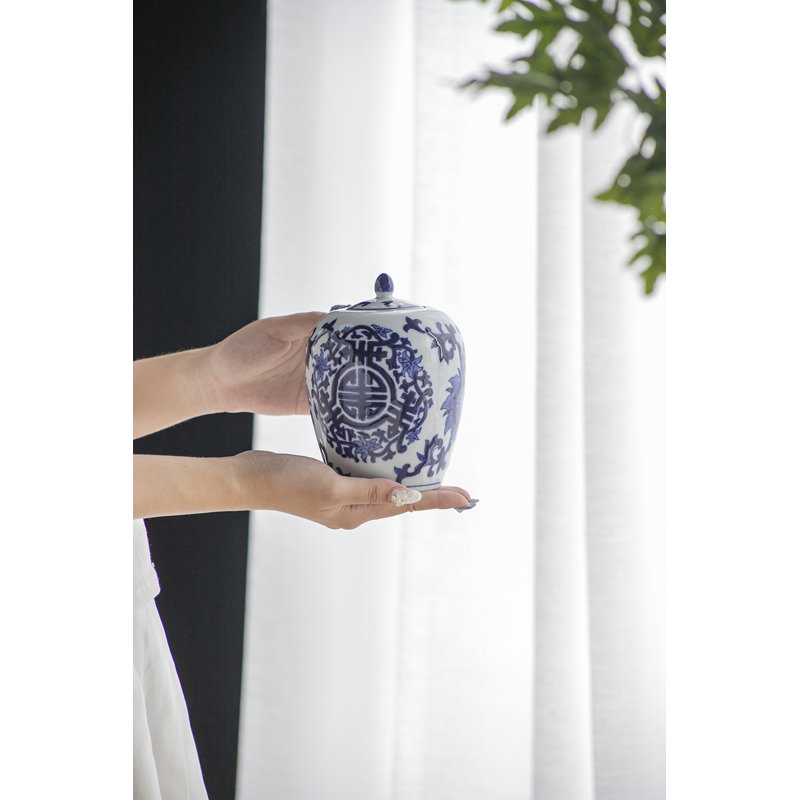 Langley Street Lattin Porcelain Ginger Jar & Reviews - Wayfair Canada