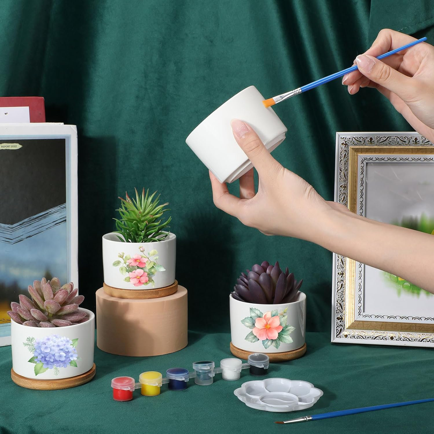 Ebern Designs 12 Diy Ceramic Succulent Pot Sets | Wayfair