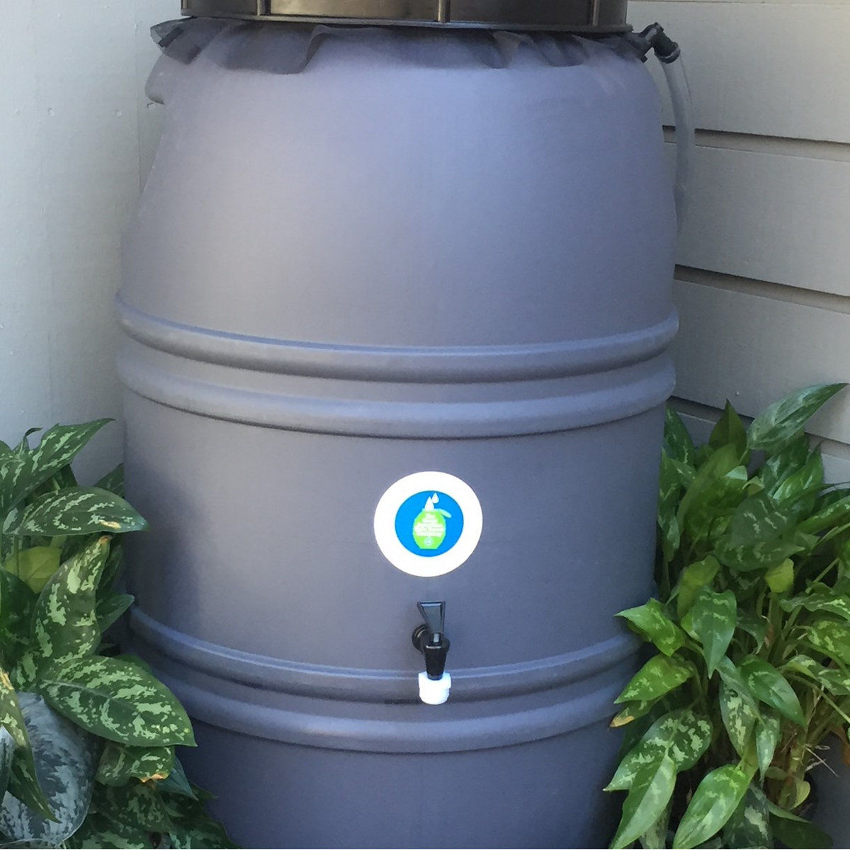 Great American Rain Barrel 60 Gallon Rain Barrel & Reviews | Wayfair
