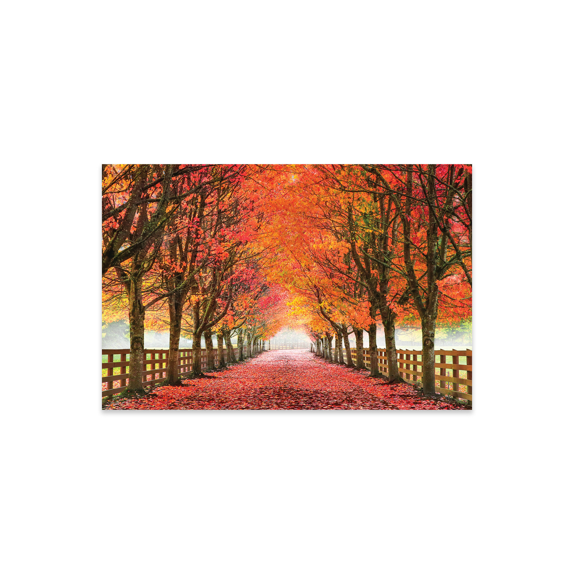 Ebern Designs North Bend Trees On Plastic/Acrylic by Aaron Reed ...