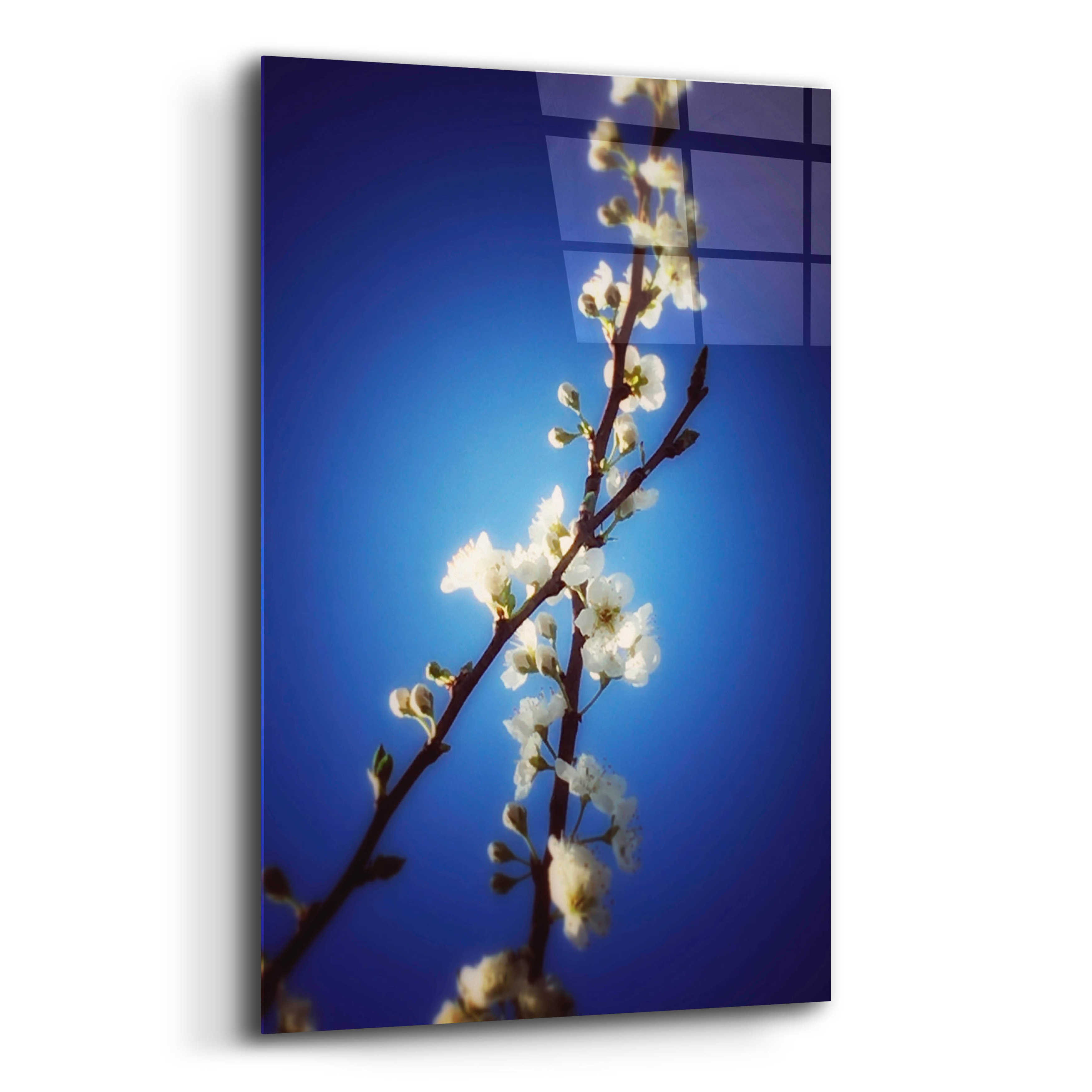 Ebern Designs Almost Blue - Unframed Photograph | Wayfair