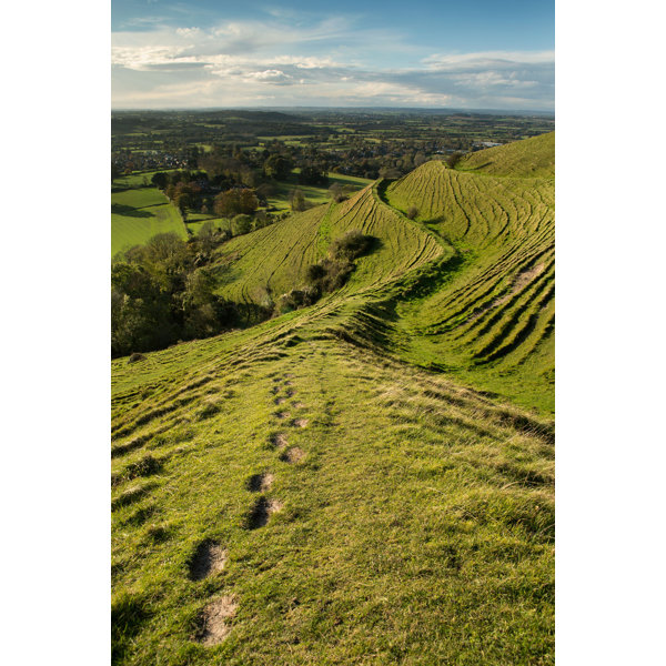 Millwood Pines " Hambledon Hill, Dorset " by David_Crosbie - Wayfair Canada