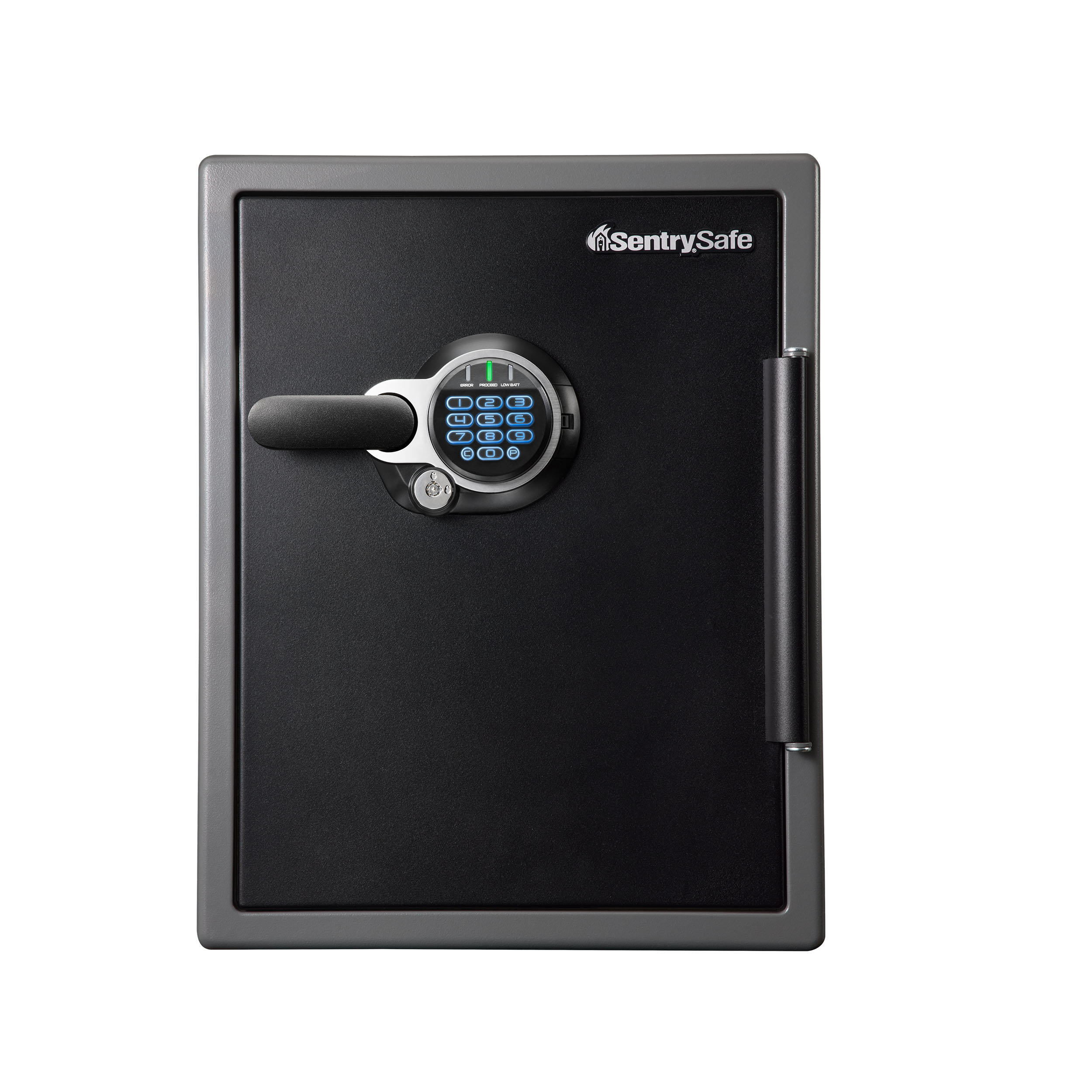 Sentry Safe SentrySafe Fire/Water Security Safe with Digital Dual-Lock ...