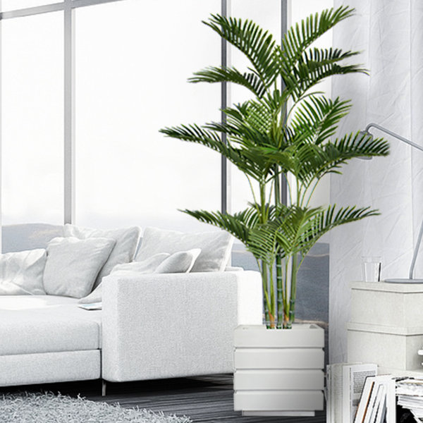 Laura Ashley Panama 66" Artificial Palm Tree in Planter & Reviews | Wayfair