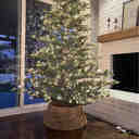 Best Choice Products Rattan Tree Collar & Reviews | Wayfair