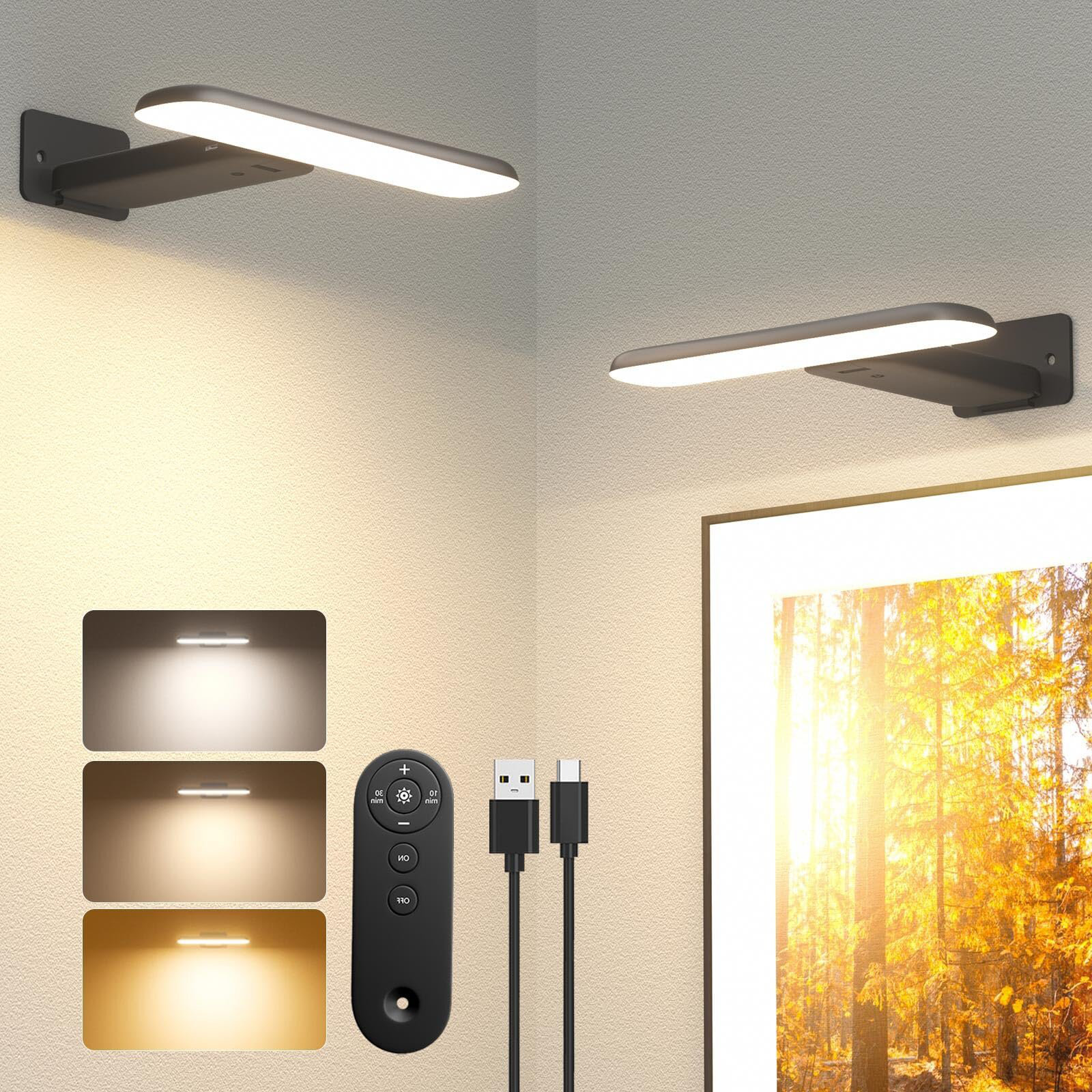 Orren Ellis 2 Pack LED Wall Light Cordless with Remote,3 Colour ...