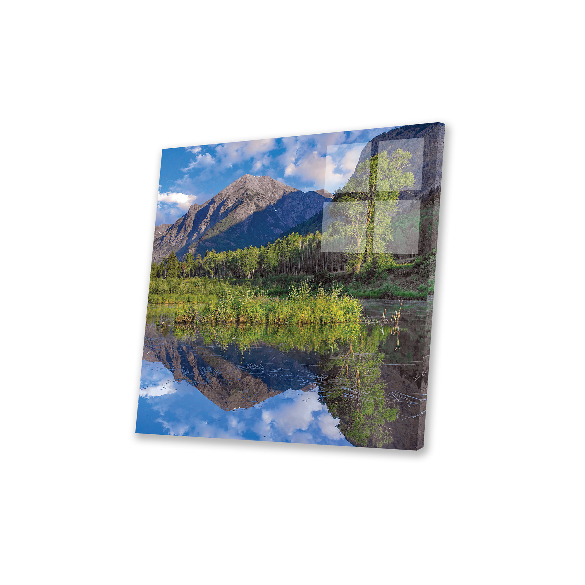 Millwood Pines " Handies Peak, San Juan Mountains, Colorado " by Tim ...