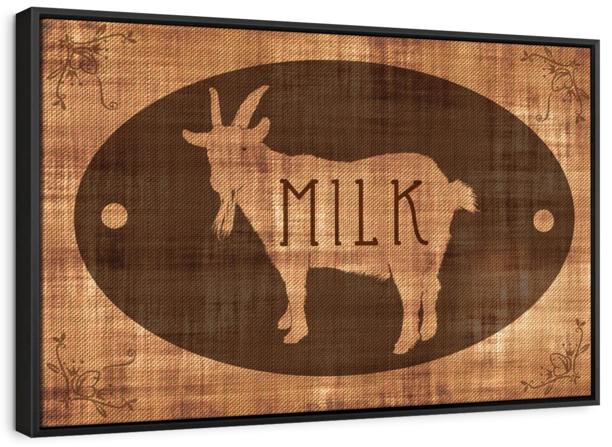 August Grove® " Goat Milk Wall Art " | Wayfair