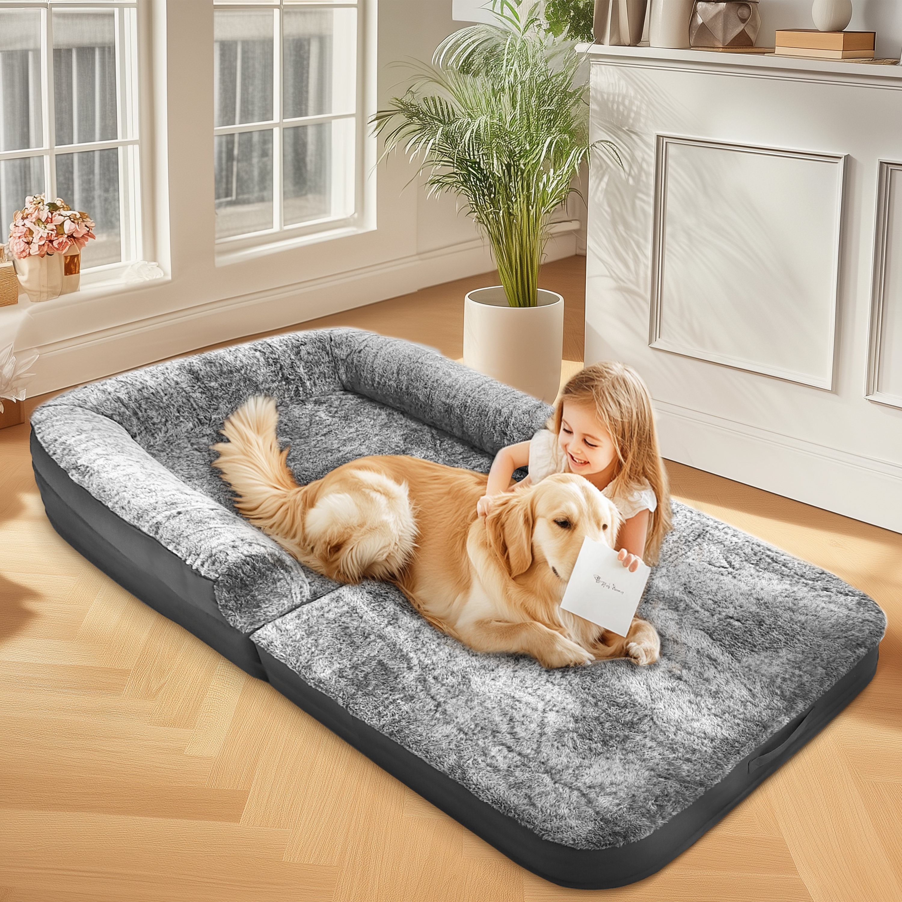 Archie & Oscar™ Foldable Como For Adult, Orthopedic Soft Foam Dog Bed ...