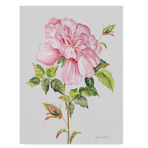 Trademark Art Jean Plout " Botanicals 2 " by Jean Plout Print on Canvas ...