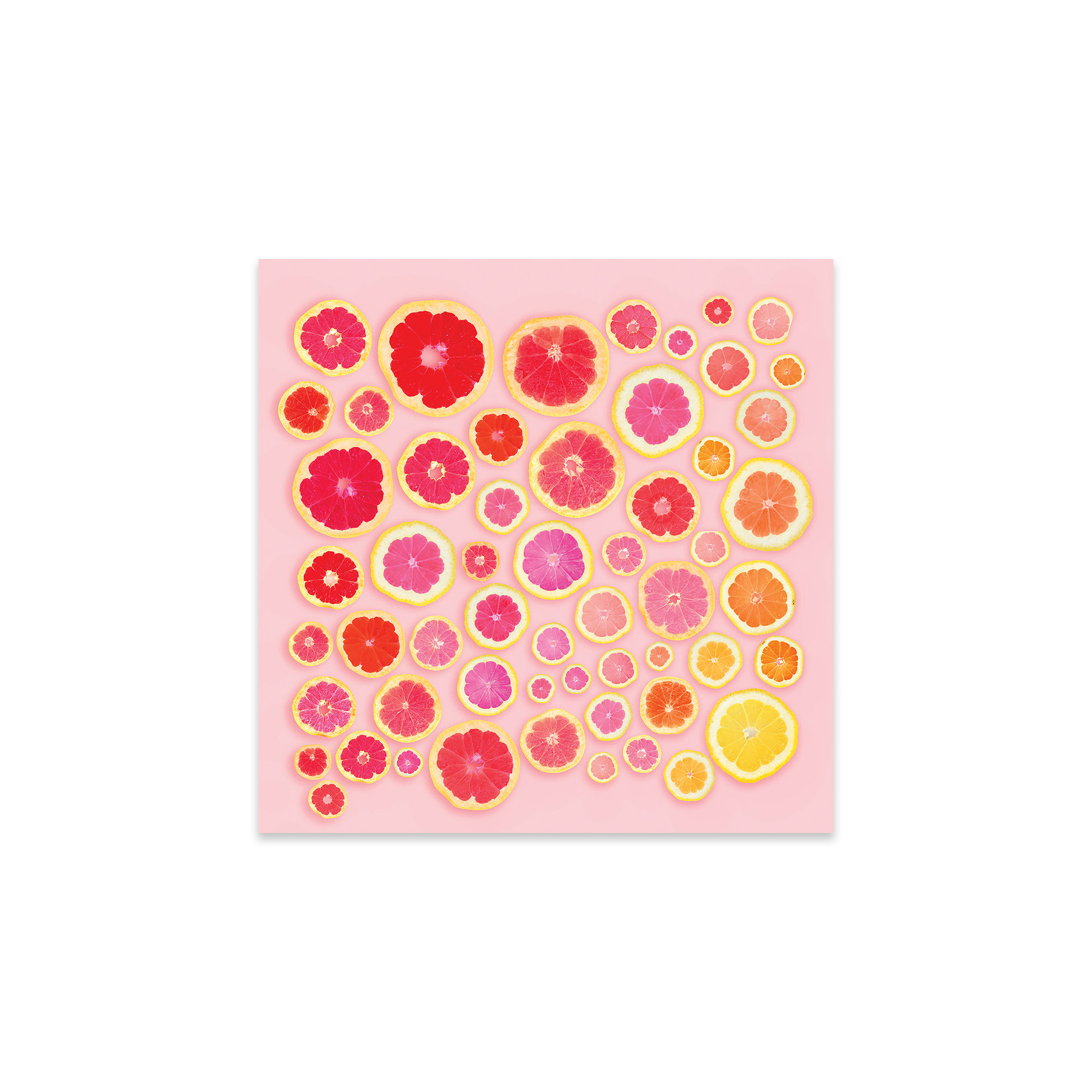 Bay Isle Home " Pink Slices " by Erin Summer - Wayfair Canada