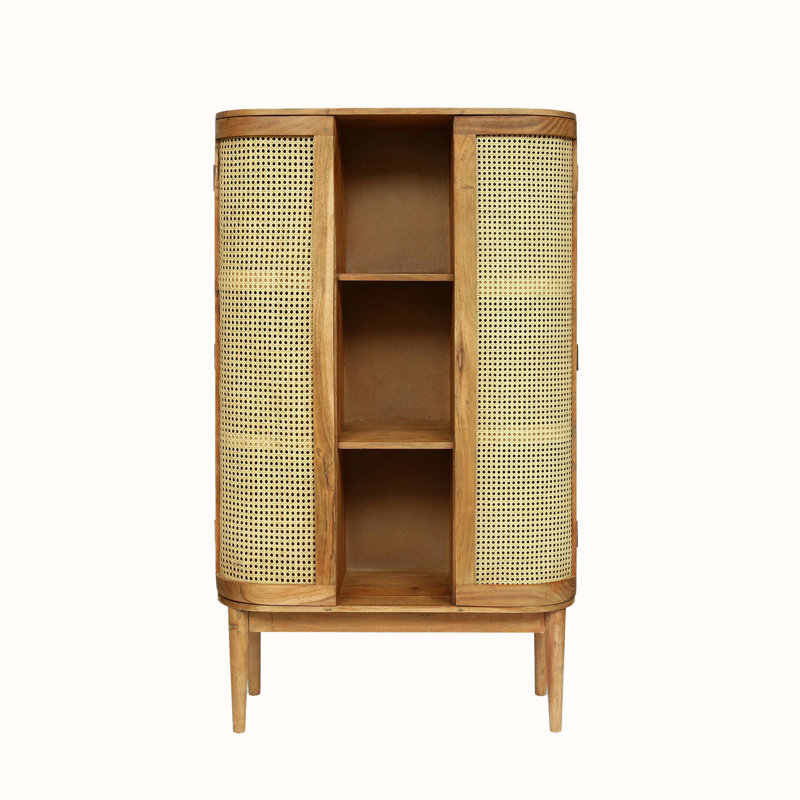 Bayou Breeze 2-Door Accent Storage Cabinet | Wayfair