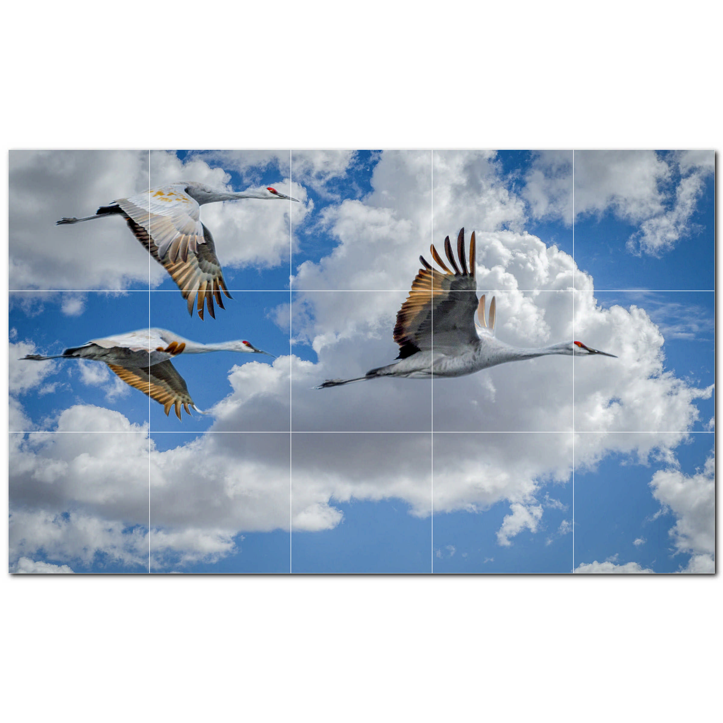 Picture-Tiles.com Bird Photo 12 x 12 | Wayfair