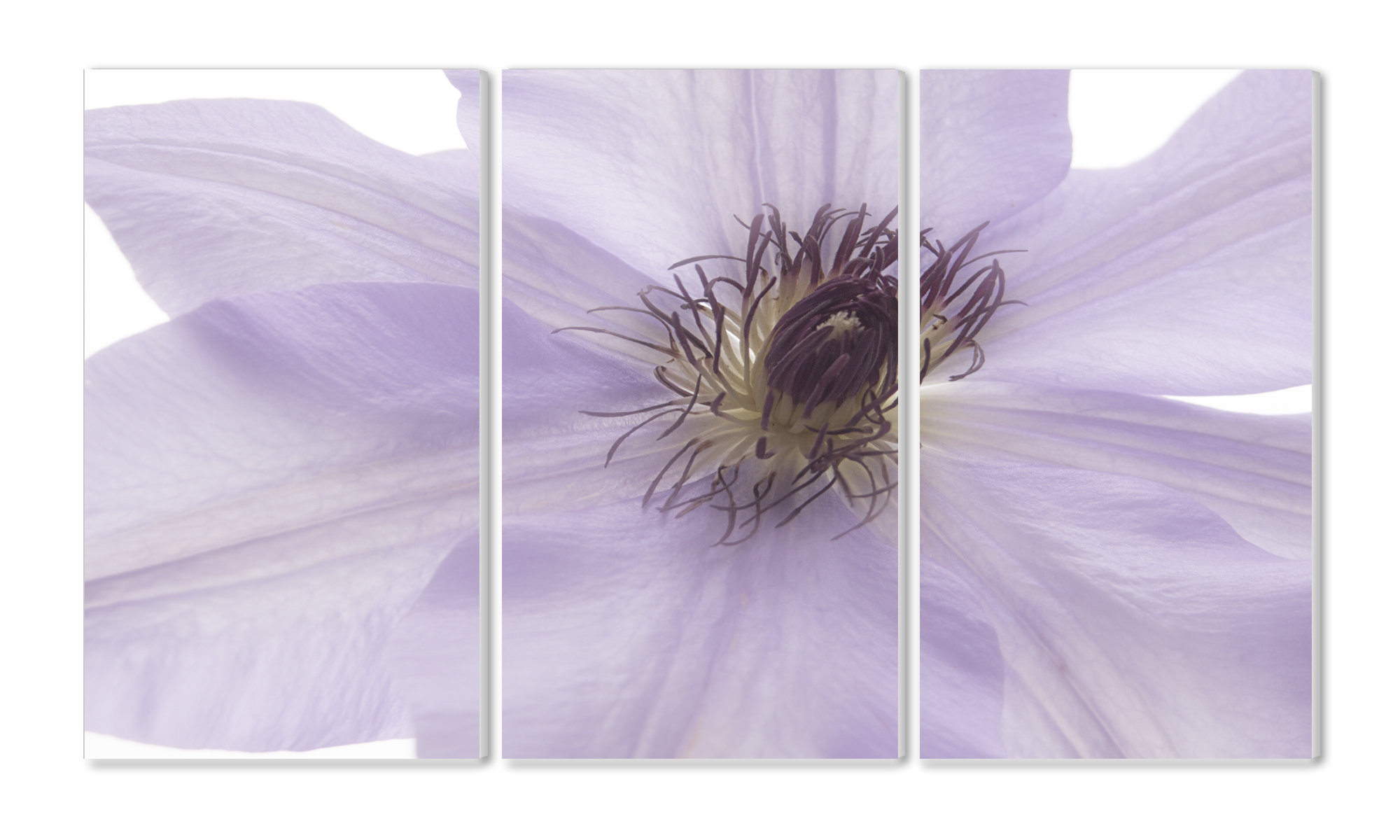 Latitude Run® 'Purple Flower Triptych' 3 Piece Photographic Print Wall ...