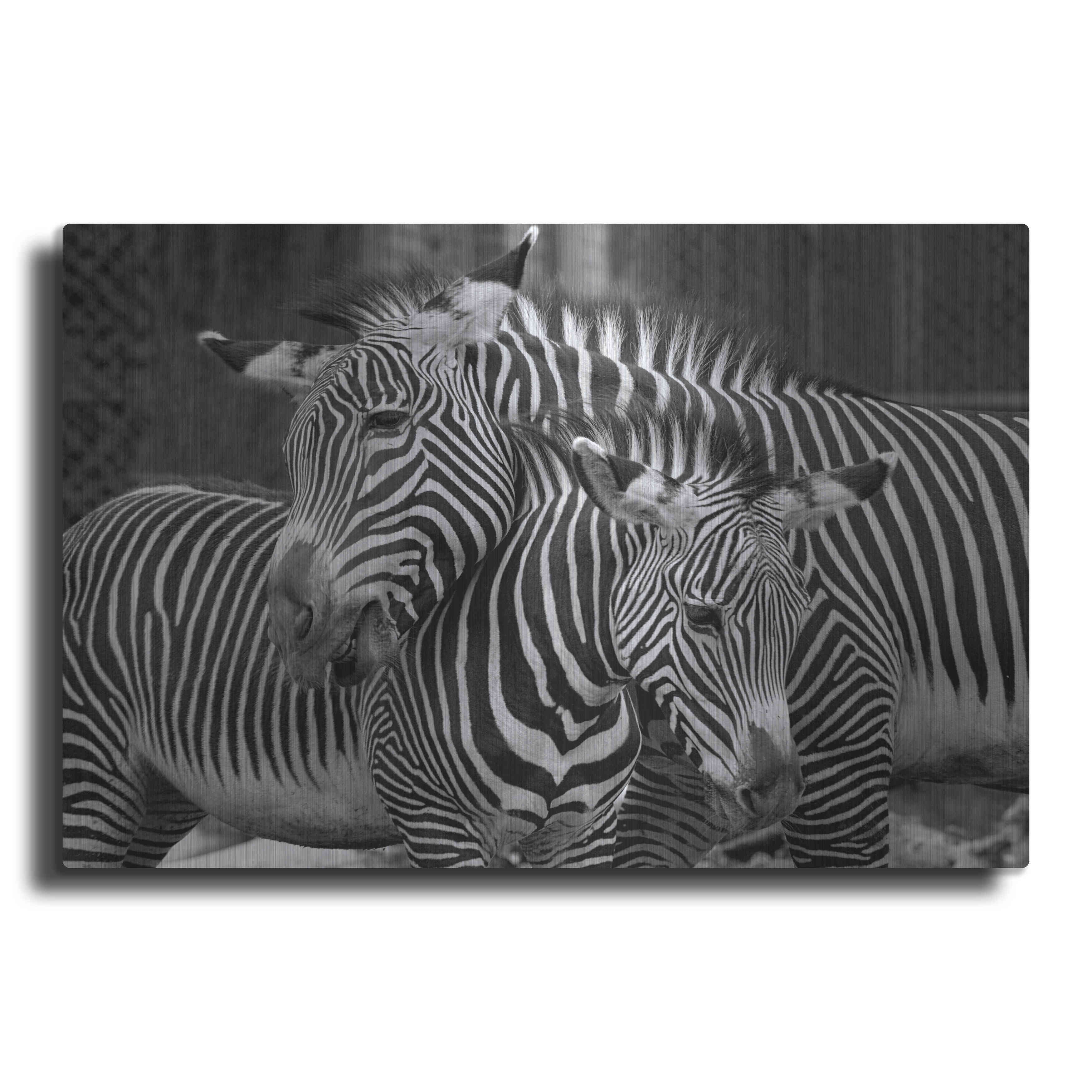 Latitude Run® Luxe Metal Art 'Zebras' By Mike Jones, Metal Wall Zebras ...