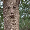 GenuineTreePeeple Simon Tree Face Concrete Garden Decor & Reviews | Wayfair