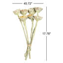 Vickerman 8-12" Frosted Basil Rosette Compacta - Sleeved 7 stems, Dried ...