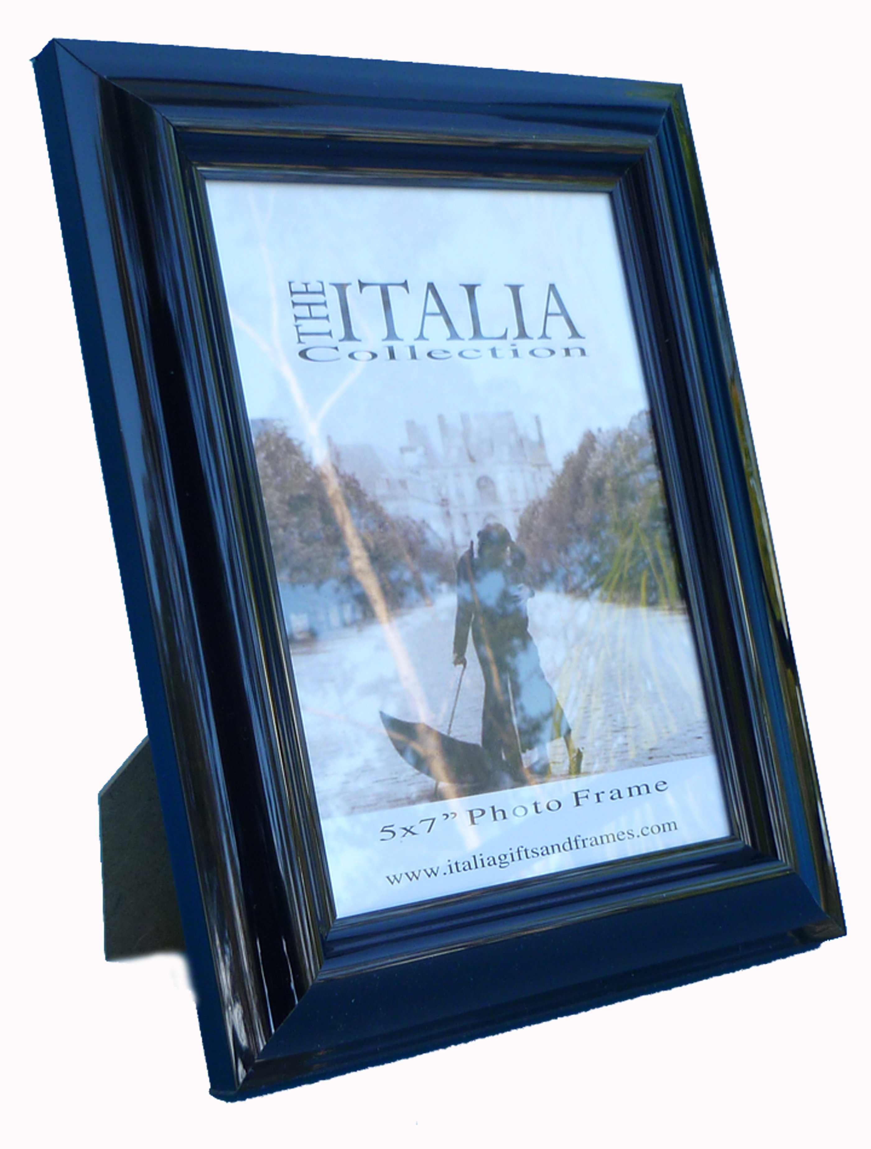 Italia Picture Frame & Reviews | Wayfair